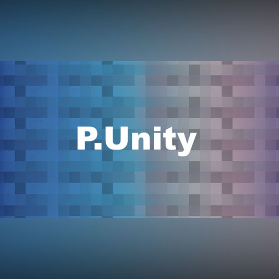 P.Unity